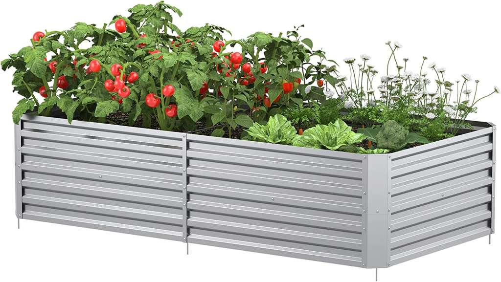 Garden Deals - Offbeat Gardener